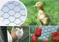 China Poultry Fence 50mm BWG19 Reverse Twisted Hexagon Metal Mesh for sale