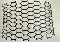 China 30m HDPE Black Plastic Poultry Netting for sale