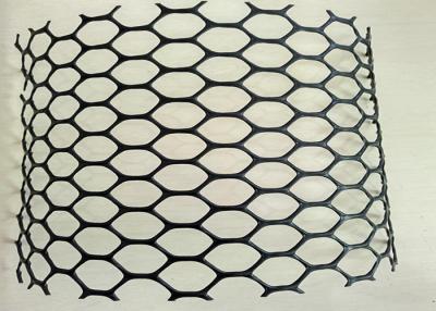 China 30m HDPE Black Plastic Poultry Netting for sale