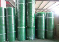 China 450g sqm polyethylene Plastic Netting Mesh for sale