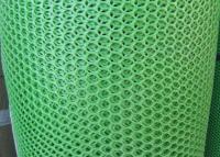China 30m HDPE Black Plastic Poultry Netting for sale