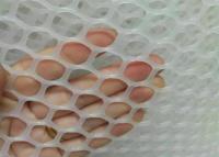 China Wear Resisting 10X10mm 900g/m2 Polyethylene Mesh Netting for sale