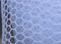 China 20X20mm 1.8cm hole Plastic Netting Mesh for sale