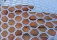 China Green Flat 10X10mm Hdpe Plastic Netting Mesh In Breed Fishing for sale