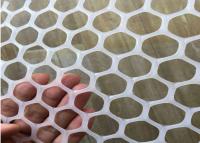 China 1.2mm hole White Extruded Plastic Netting Mesh for sale