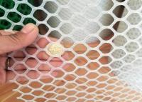 China 20X20mm 1.8cm hole Plastic Netting Mesh for sale