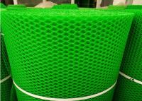 China Green Flat 10X10mm Hdpe Plastic Netting Mesh In Breed Fishing for sale