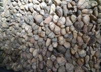 China Hot Dipped Galvanized 100 X 120mm 3.7mm Gabion Wire Mesh for sale