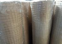 China PVC Coated Galvanized Square 1x1 Welded Wire Mesh Rolls for sale