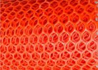 China 250gsm Plastic Netting Mesh for sale