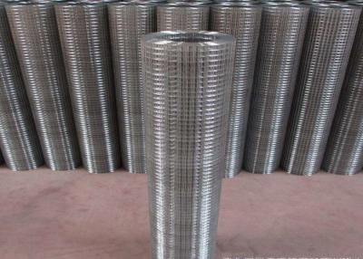 China 12.5mm X12.5mm Galvanised Welded Wire Mesh Panels for Rabbit Cage for sale