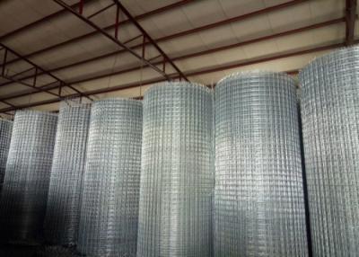 China cages 19kgs 12.7mm x 12.7mm 19 Gauge Galvanized Wire Mesh for sale