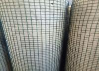 China Little Dog Cages 12.7mm BWG18 40kgs Welded Wire Cloth for sale