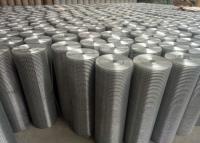 China 16mm X 16mm Hot Dipped Galvanized Welded Wire Mesh for sale