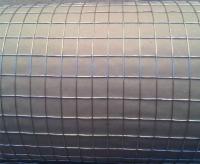 China Chicken Cage BWG18 Green Pvc Coated Welded Wire Mesh for sale