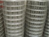 China 8mm 1 Inch By 1 Inch Electro Galvanised Welded Wire Mesh for sale