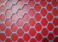 China 30X30mm 450g sqm Plastic Netting Mesh for sale