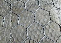 China GI 25mm BWG18 Hexagon Metal Mesh For Poultry Fence for sale