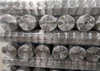 China Iso Passed Bwg12 2.5mm Gauge Galvanized Iron Mesh for sale