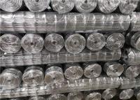 China Buiding Decorative 1 Inch Galvanized Welded Wire Mesh for sale