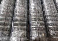 China Iso Passed Bwg12 2.5mm Gauge Galvanized Iron Mesh for sale