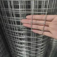 China Animal Farms 1 Inch X 2 Inch Bwg20 Galvanized Welded Iron Wire Mesh for sale