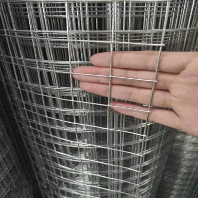China Animal Farms 1 Inch X 2 Inch Bwg20 Galvanized Welded Iron Wire Mesh for sale