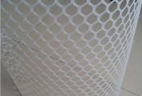 China 180g Per Sqm 20mm X20mm Fine Mesh Plastic Netting Breeding for sale