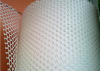 China 30x30mm White Flat Hdpe 500g/M2 Per Sqm Plastic Netting Mesh for sale
