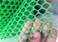 China Flat 10x10mm Apeture Green Plastic Mesh Netting Hdpe For Fishing for sale