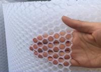 China 10x10mm 300g Plastic Diamond Mesh Netting White Corrosion Resisting for sale