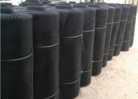 China Black Colour Plastic Netting Mesh 20mmx20mm Hole Extruded for sale