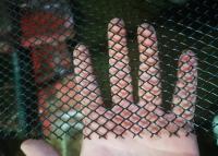 China Black Colour Plastic Netting Mesh 20mmx20mm Hole Extruded for sale