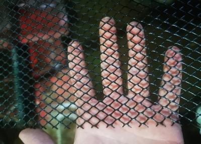 China Black Colour Plastic Netting Mesh 20mmx20mm Hole Extruded for sale