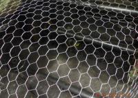 China Galvanized Weave 0.7mm Metal Hexagon Mesh 1