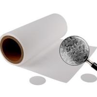 China 0.22μm 0.45μm PP Membrane Hydrophilic Polypropylene Filter with 160-210μm Thickness and pH 1-14 Chemical Compatibility for sale