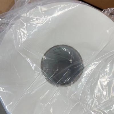 China 5μm Asymmetric PES Membrane Filter for Single-Use Sterile Assemblies | pH 1-14 Range | Medical Grade for sale