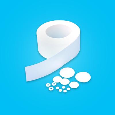 China Hydrophobic PET Membrane Filter Disc 0.5μm Pore Size for Air Inlet with 0.20-0.35mm Thickness and ≥95% Filtration Efficiency for sale