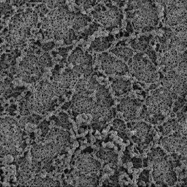 China 3μm Pore Size Hydrophilic PES Polyethersulfone Filter Membrane 0.20-0.35mm Thickness 99% Filtration Efficiency for sale