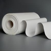 China Hydrophobic PTFE Polyethylene Filter Membrane for Medical Air Venting - Multiple Pore Sizes Available for sale