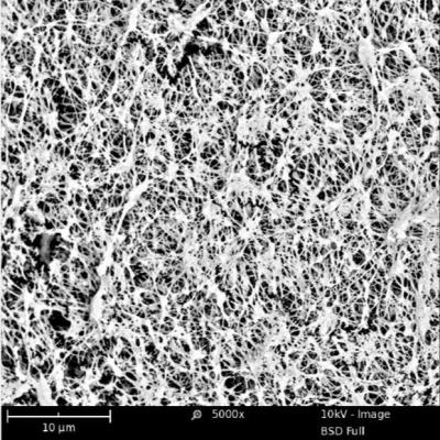 China Microporous Hydrophobic PTFE Membrane 0.05-0.45μm Pore Size with PP/PET Support Layer for Industrial Filtration for sale