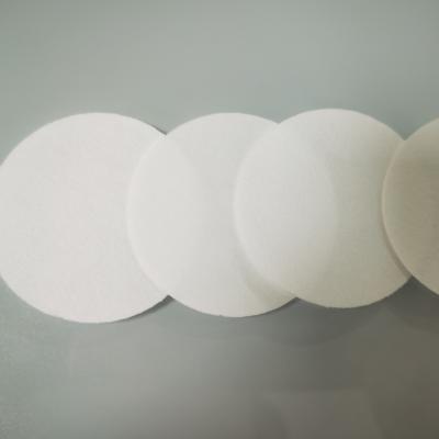 China Hydrophilic Microporous PES Membrane Disc Filter with High Porosity for Pharmaceutical and Sterilization Applications for sale