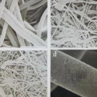 China Medical Grade PP Meltblown Nonwoven Fabric - 25/30/40 gsm Weight, 1500m Roll Length for Filtration Applications for sale