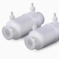 China Hydrophilic PES Disposable Capsule Filter 173mm Length 75mm Diameter with 0.17M² Filtration Area for Industrial Lab Use for sale