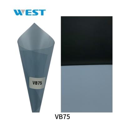China Westglass Photochromic Auto-Dimming Window Film 75%-20% VLT Range with 99% UV Blocking for Architectural & Automotive Glass for sale