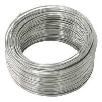 China 2.9mm Galvanized Steel Wire Competitive with Loop Tie Wire and Decoiling Processing Service for sale