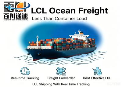 China Less Than Container Load LCL Ocean Freight Forwarder Real Time Tracking for sale