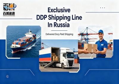China Exclusive DDP Shipping Line In Russia Delivered Duty Paid Shipping for sale