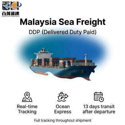 China Malaysia Sea Freight DDP Shipping with Two-Way Customs Clearance, Tax Included, and Real-Time Tracking for Door-to-Door Service for sale