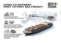 China Sea Freight Agent 20GP Port to Port Shipping Qingdao China to Antwerp Belgium for sale
